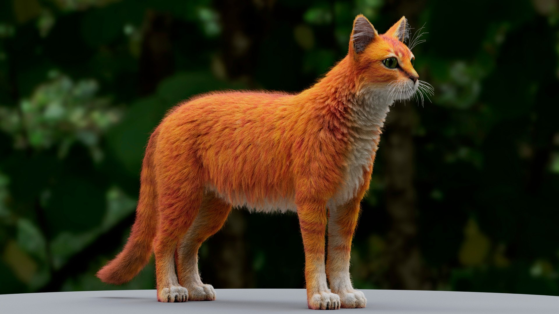 3D Cat Tabby Model - TurboSquid 2040609