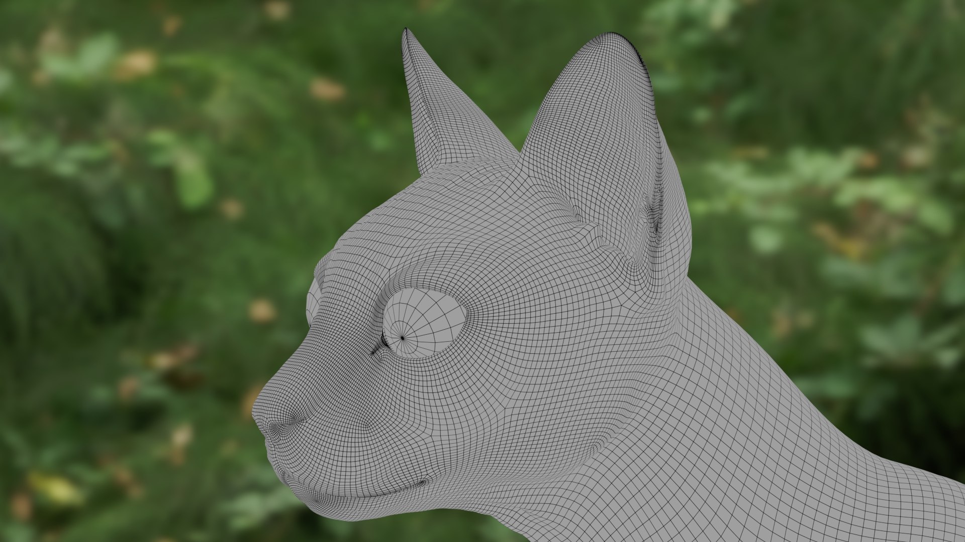 3D Cat Tabby Model - TurboSquid 2040609