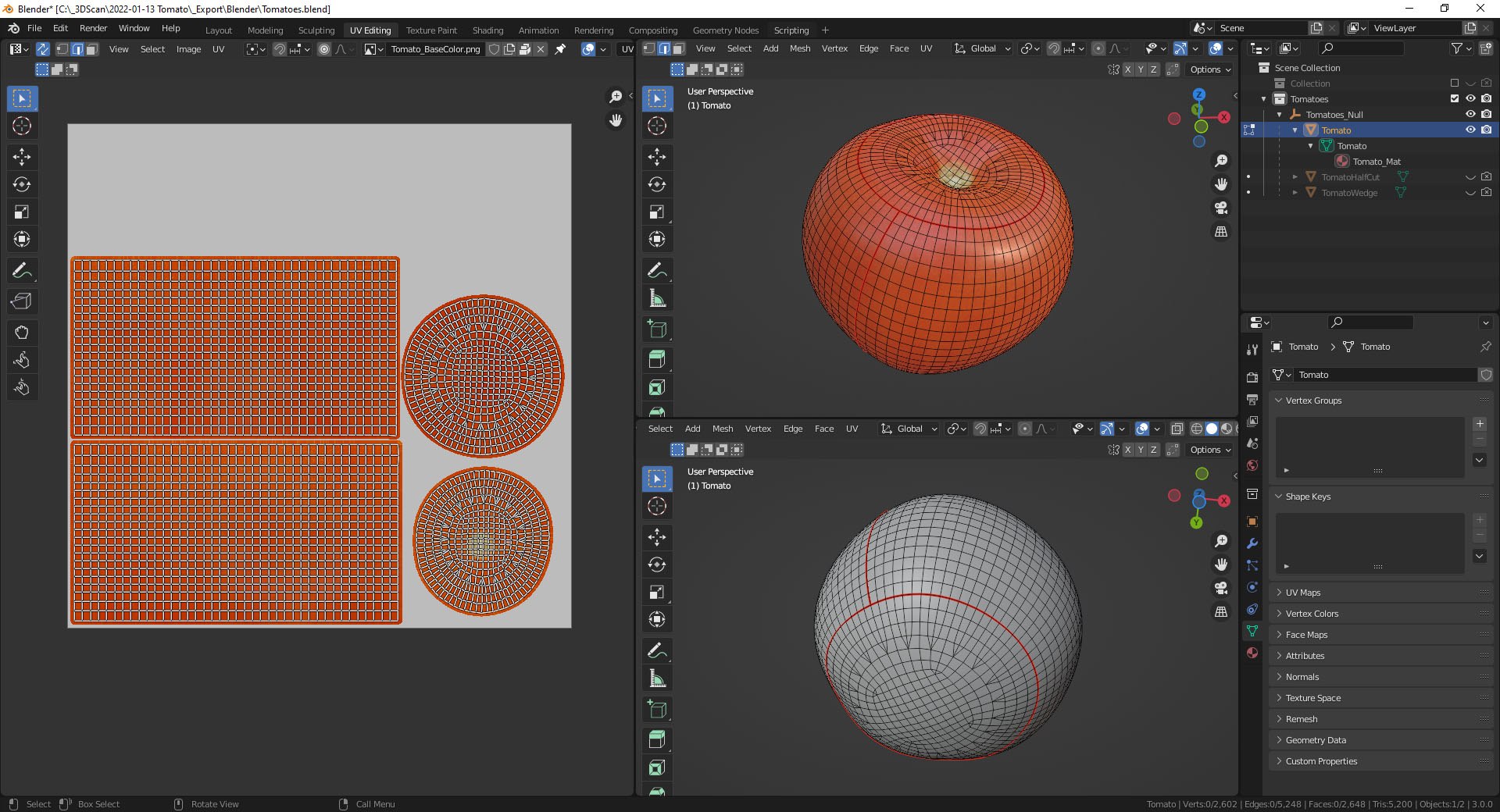 Tomatoes PBR Scan Retopo 3D Model - TurboSquid 1858966