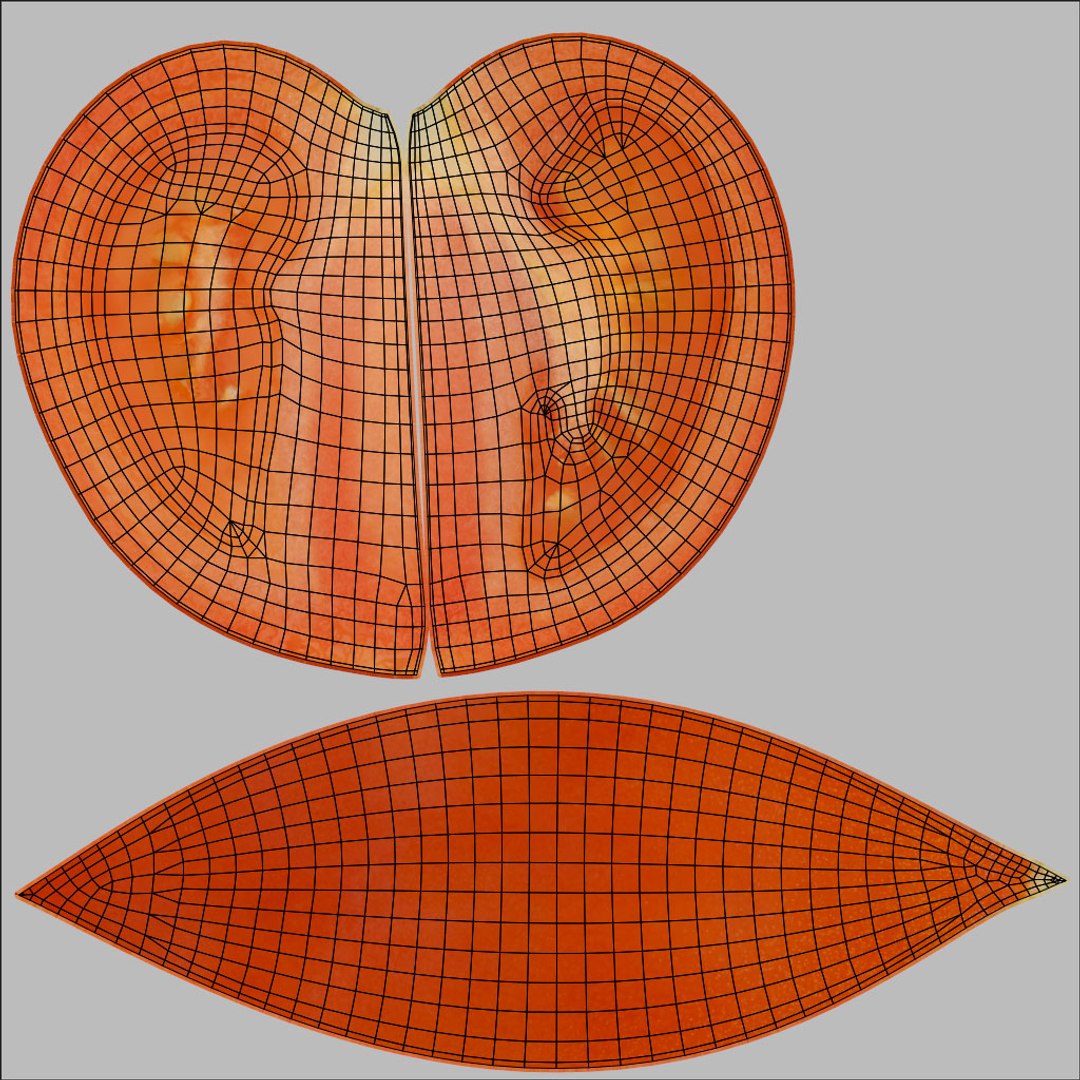 Tomatoes PBR Scan Retopo 3D Model - TurboSquid 1858966