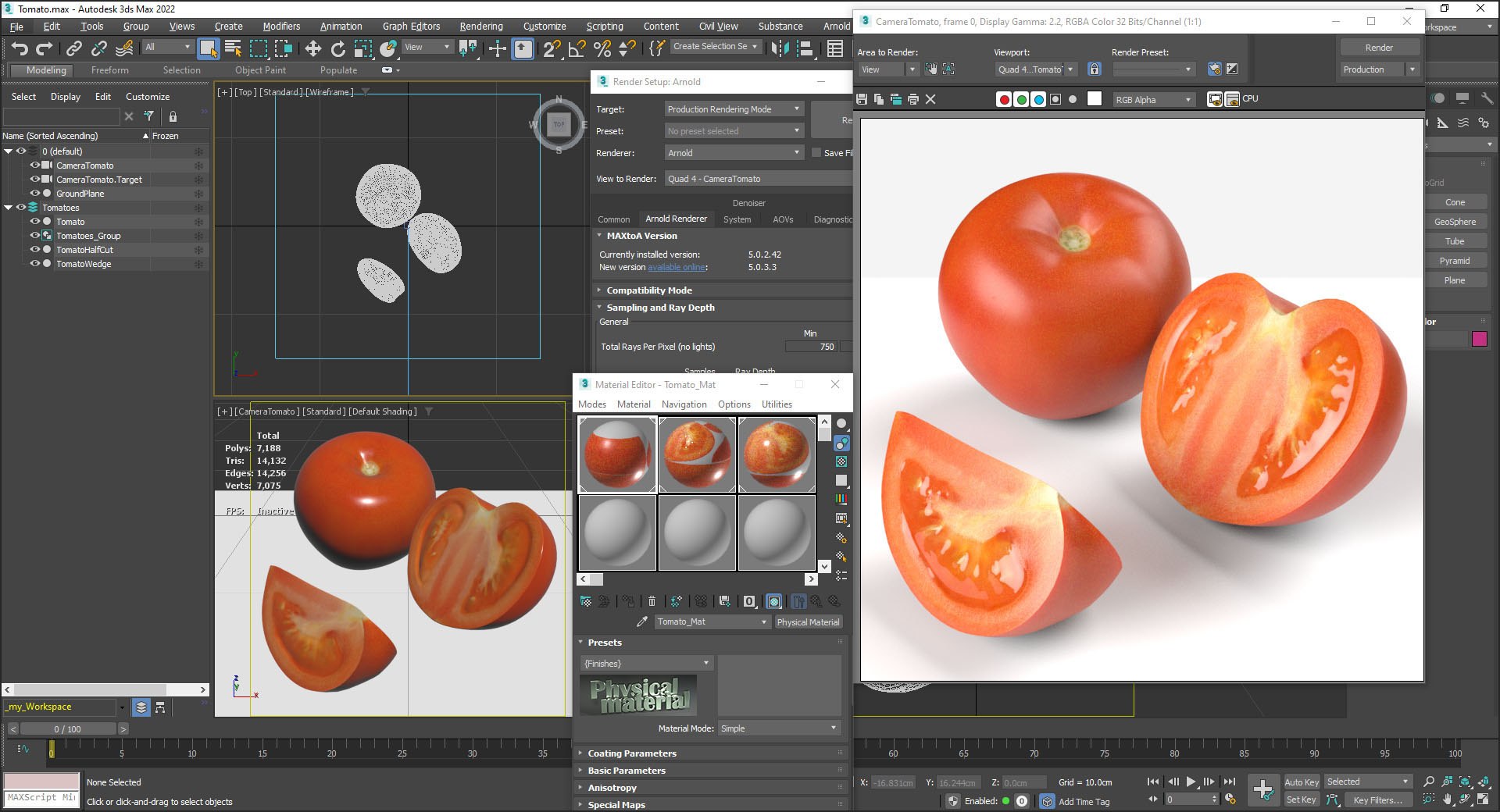 Tomatoes PBR Scan Retopo 3D Model - TurboSquid 1858966