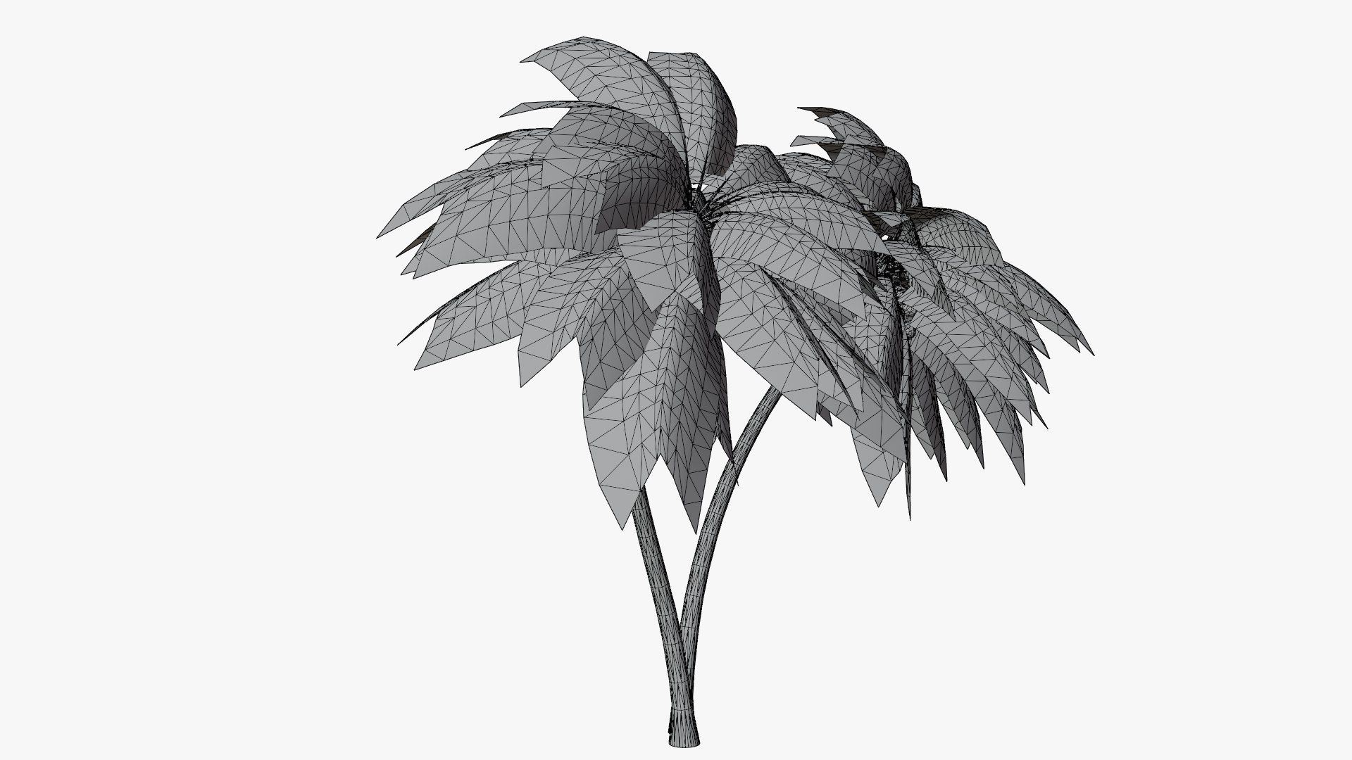 3D Coconut Palm V6 Model - TurboSquid 2048728