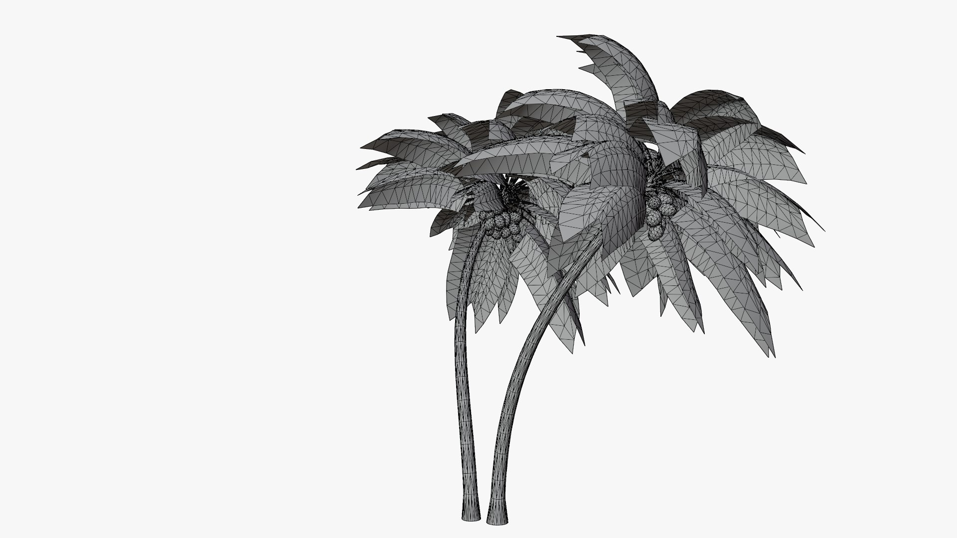 3D Coconut Palm V6 Model - TurboSquid 2048728