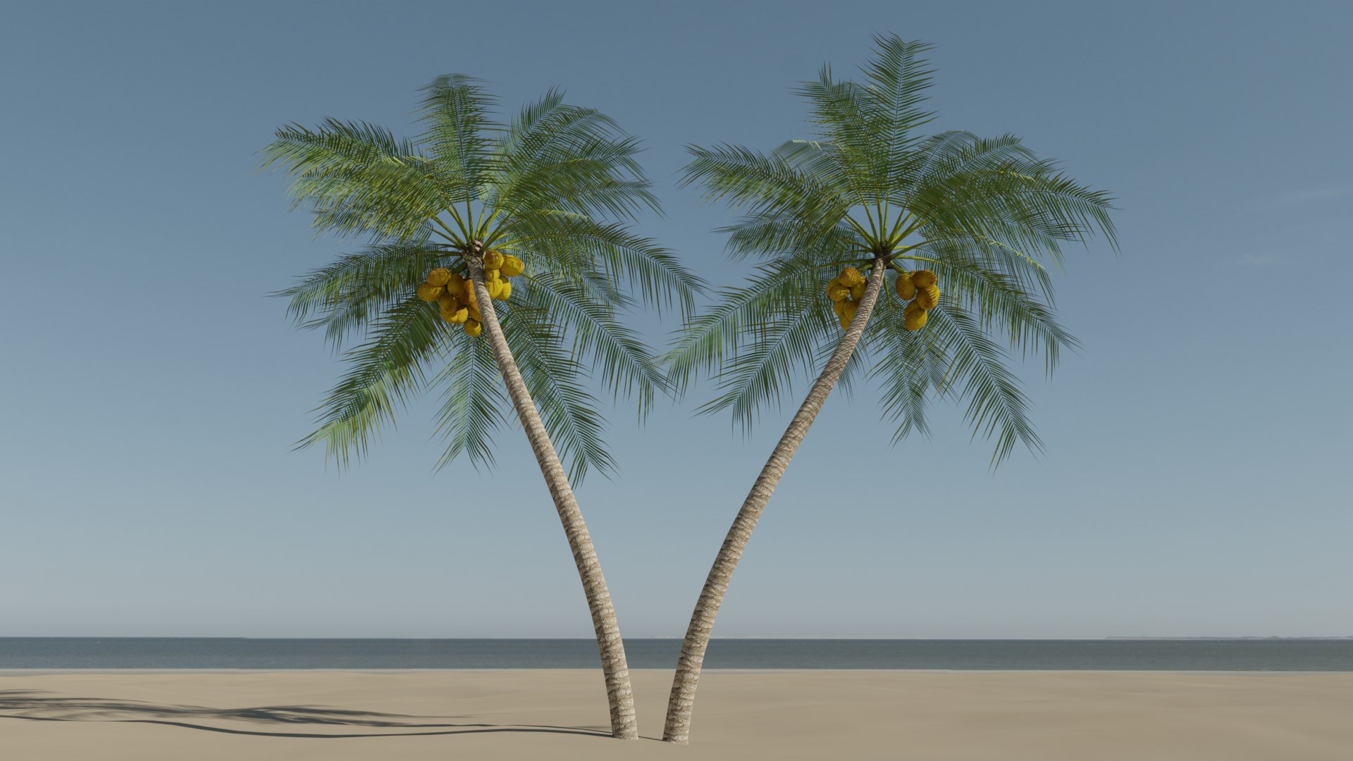 3D Coconut Palm V6 Model - TurboSquid 2048728