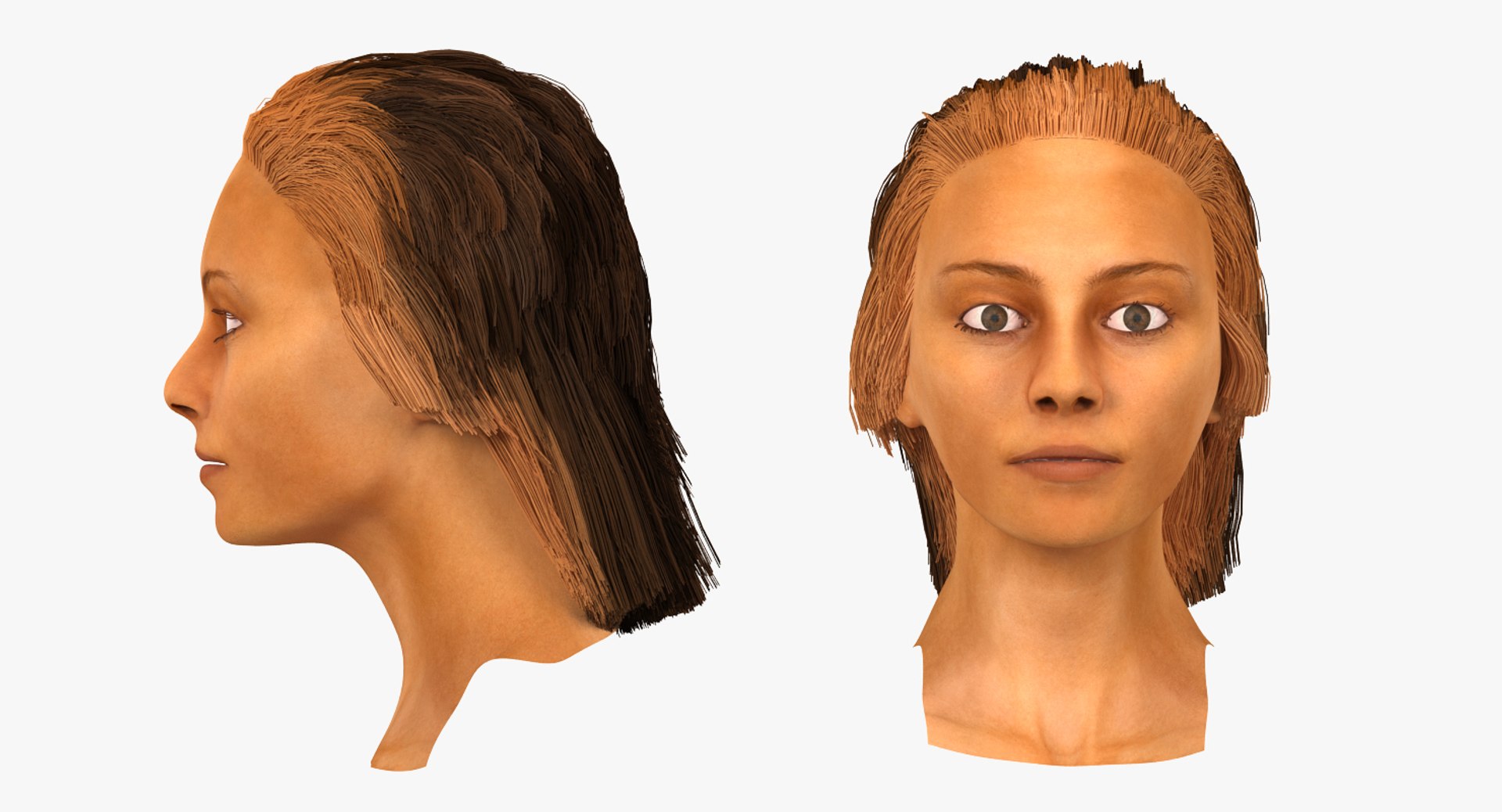 Arab Woman Head 3D Model - TurboSquid 1157575