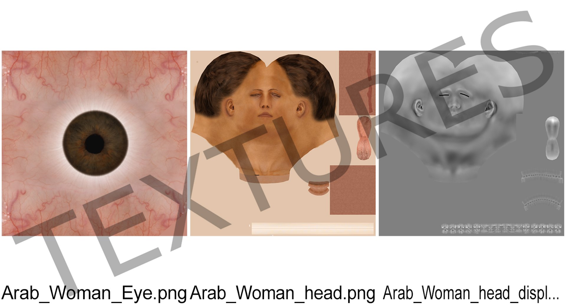 Arab Woman Head 3D Model - TurboSquid 1157575
