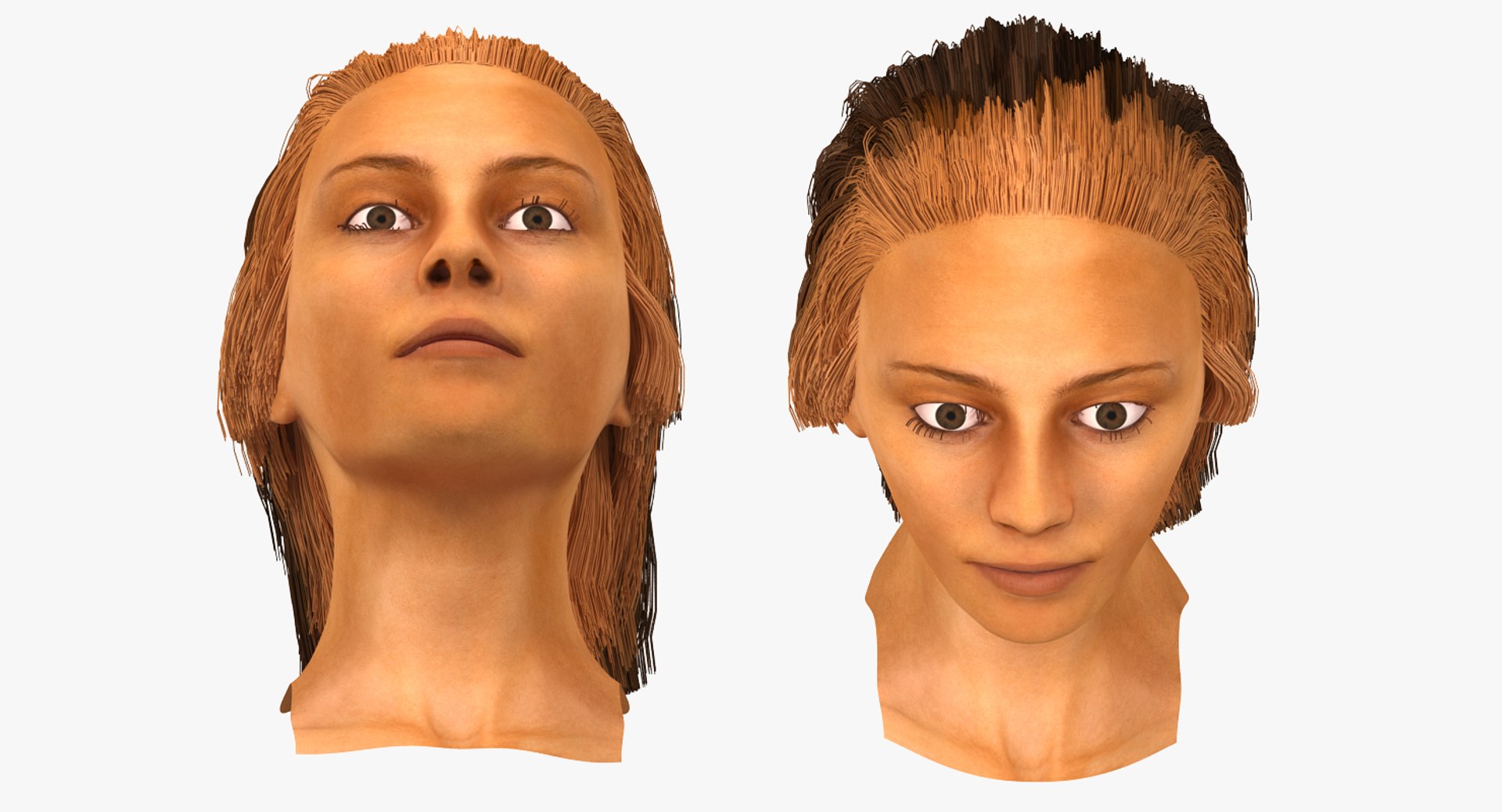 Arab Woman Head 3D Model - TurboSquid 1157575