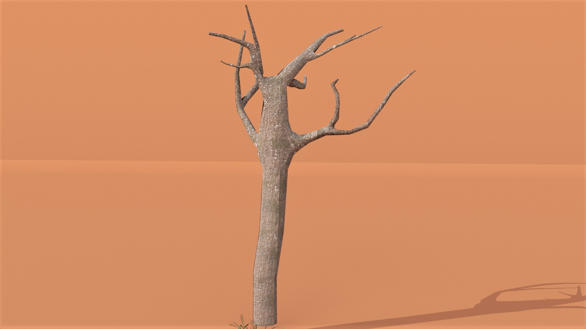 Tree Pack 3D Model - TurboSquid 1643735