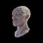 Watch Head 3d Model