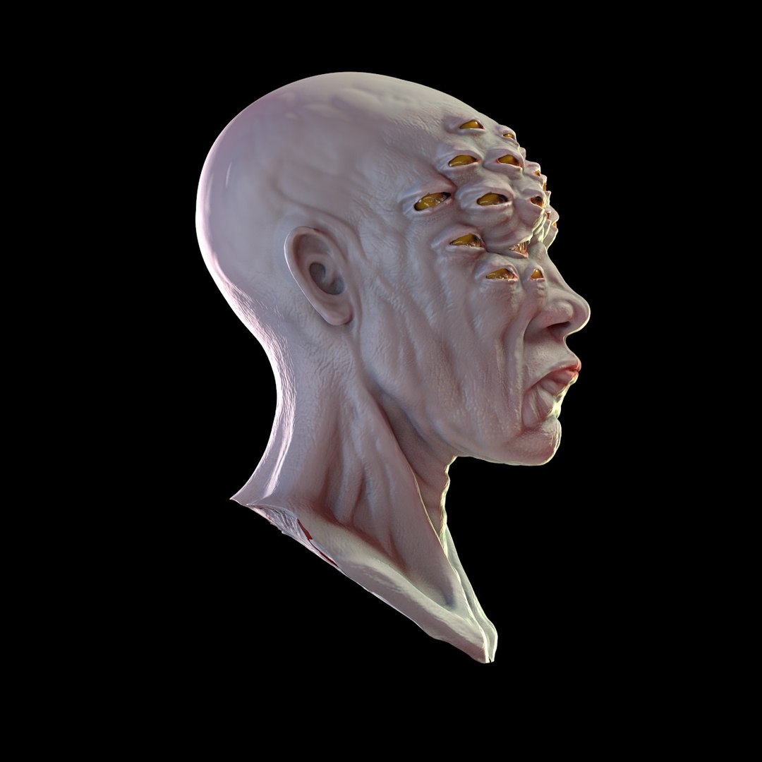 Watch Head 3d Model
