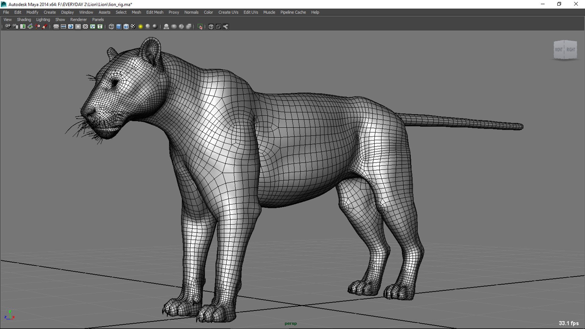 Lion Rig Studio License 3D Model - TurboSquid 1320281