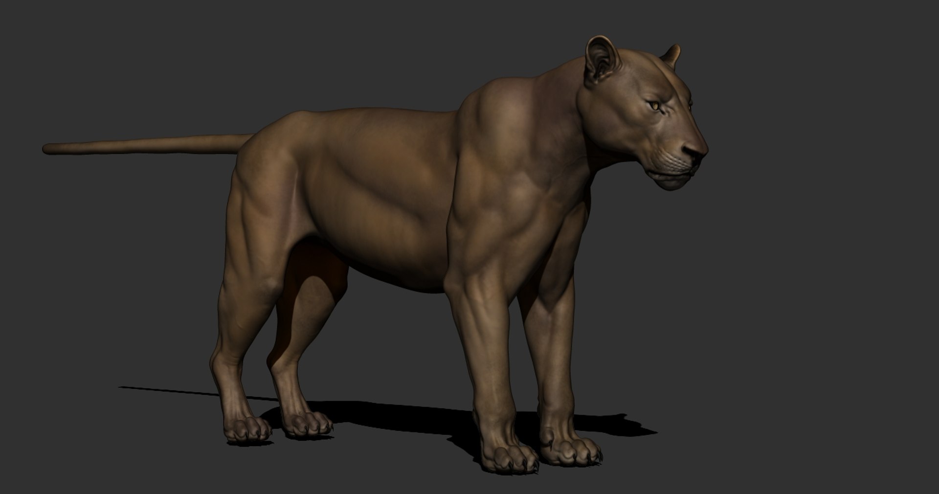 Lion Rig Studio License 3D Model - TurboSquid 1320281
