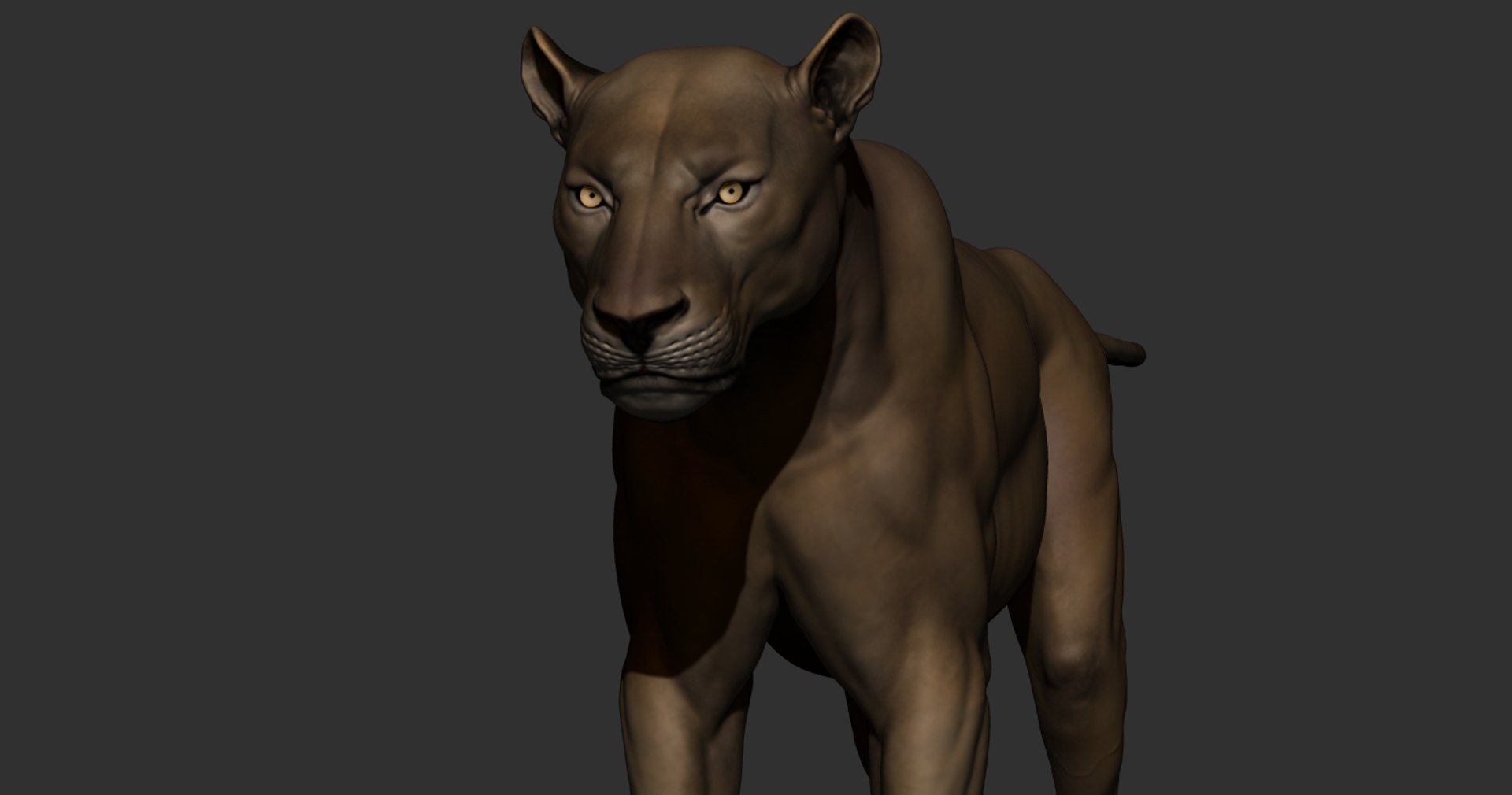 Lion Rig Studio License 3D Model - TurboSquid 1320281