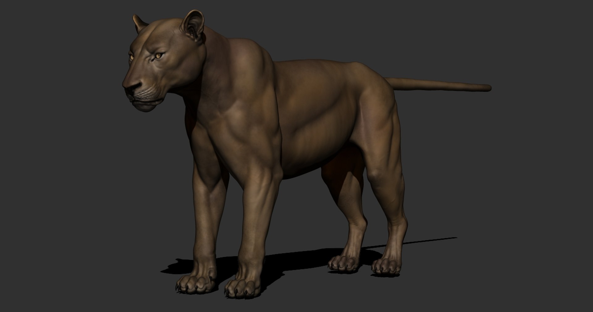 Lion Rig Studio License 3D Model - TurboSquid 1320281