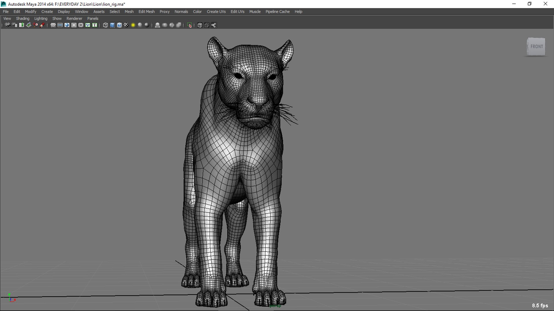 Lion Rig Studio License 3D Model - TurboSquid 1320281