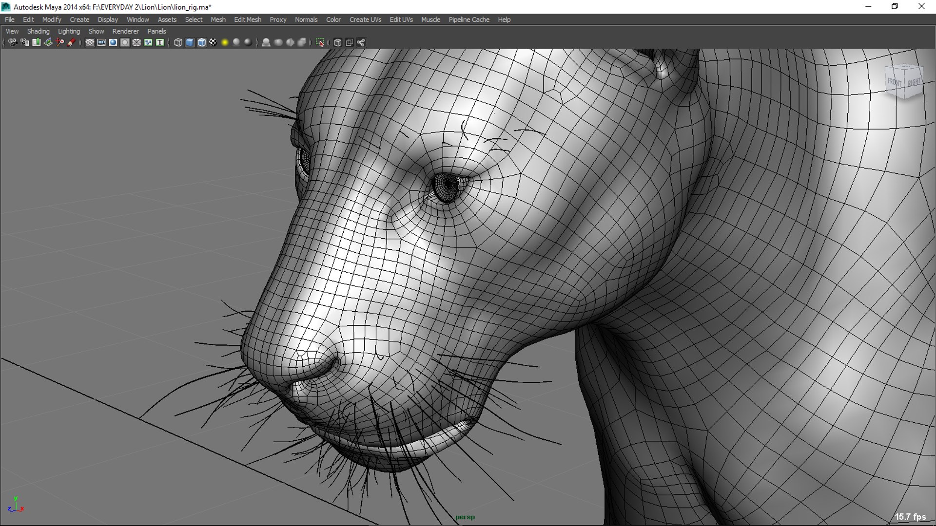 Lion Rig Studio License 3D Model - TurboSquid 1320281