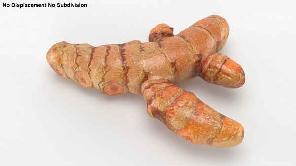 3D Turmeric v1 model - TurboSquid 1853280
