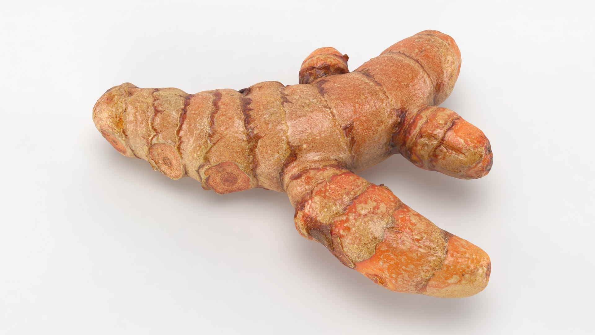 3D Turmeric V1 Model - TurboSquid 1853280