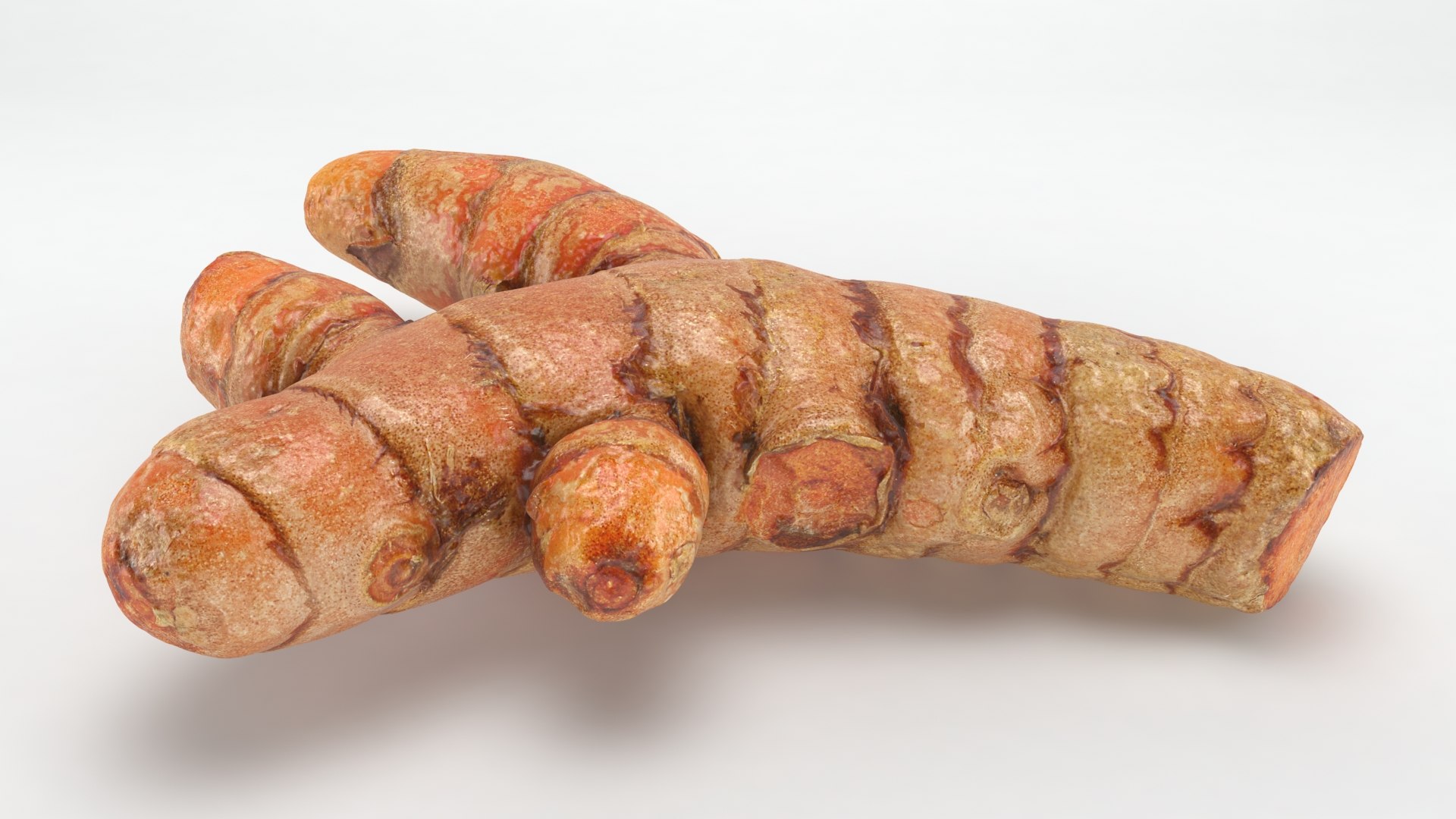 3D Turmeric V1 Model - TurboSquid 1853280