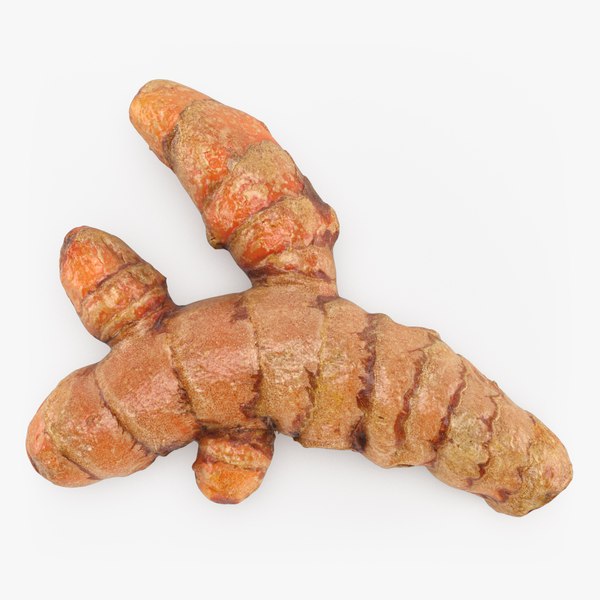 3D Turmeric v1 model - TurboSquid 1853280