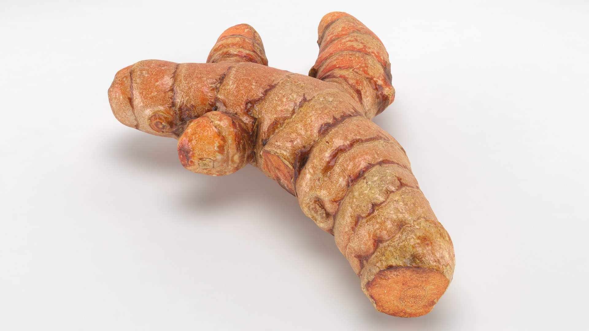 3D Turmeric V1 Model - TurboSquid 1853280