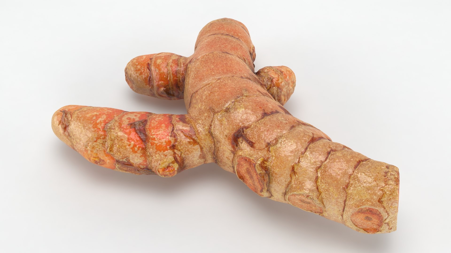 3D Turmeric V1 Model - TurboSquid 1853280