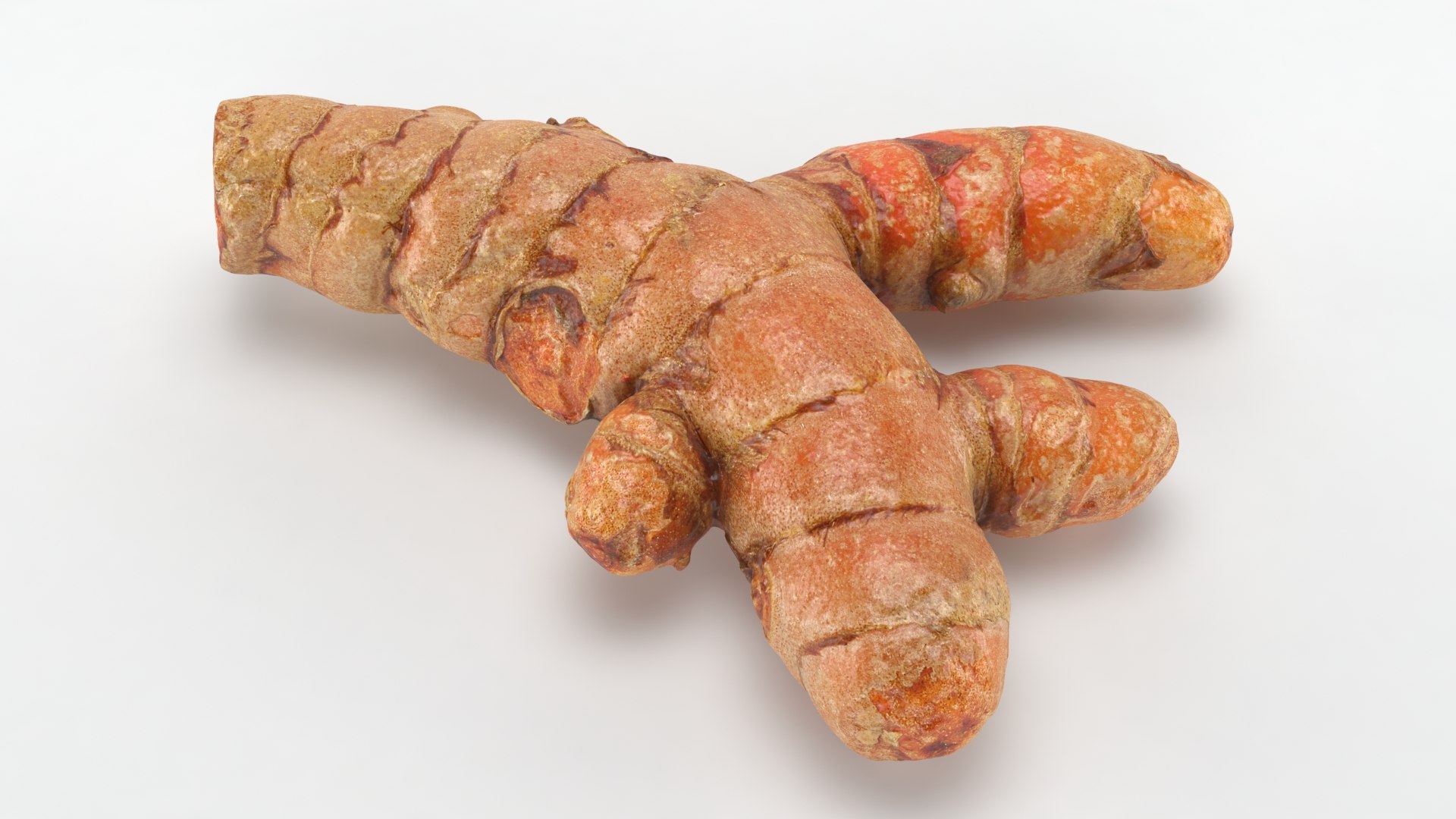3D Turmeric V1 Model - TurboSquid 1853280
