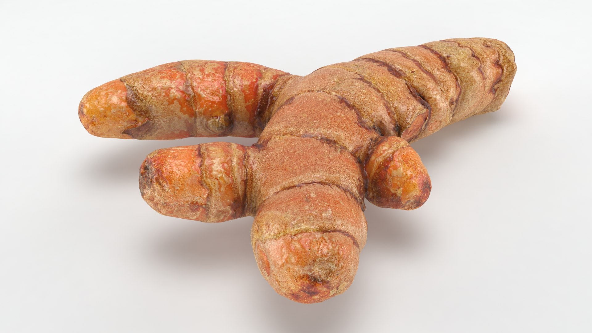 3D Turmeric V1 Model - TurboSquid 1853280