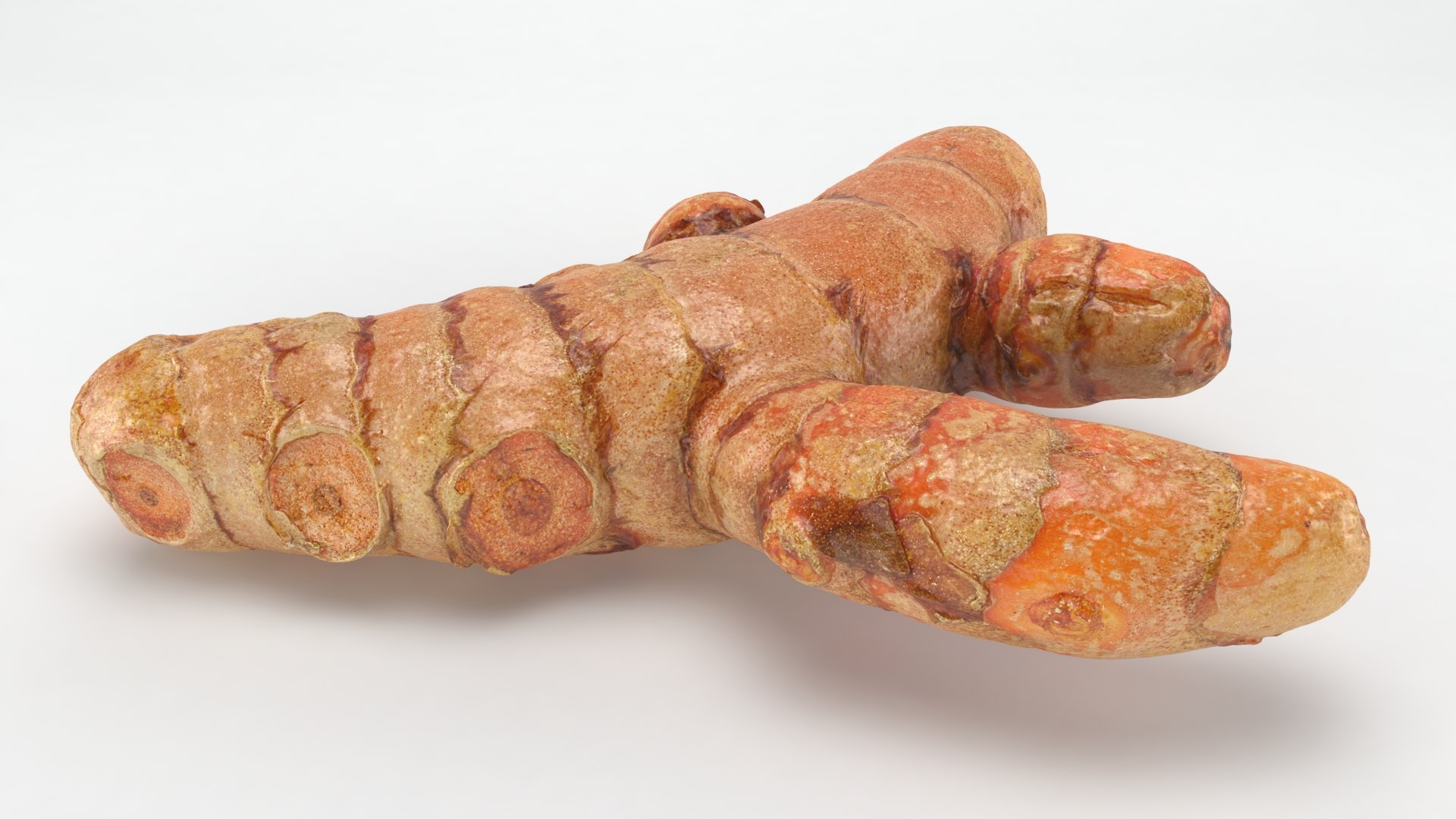 3D Turmeric V1 Model - TurboSquid 1853280