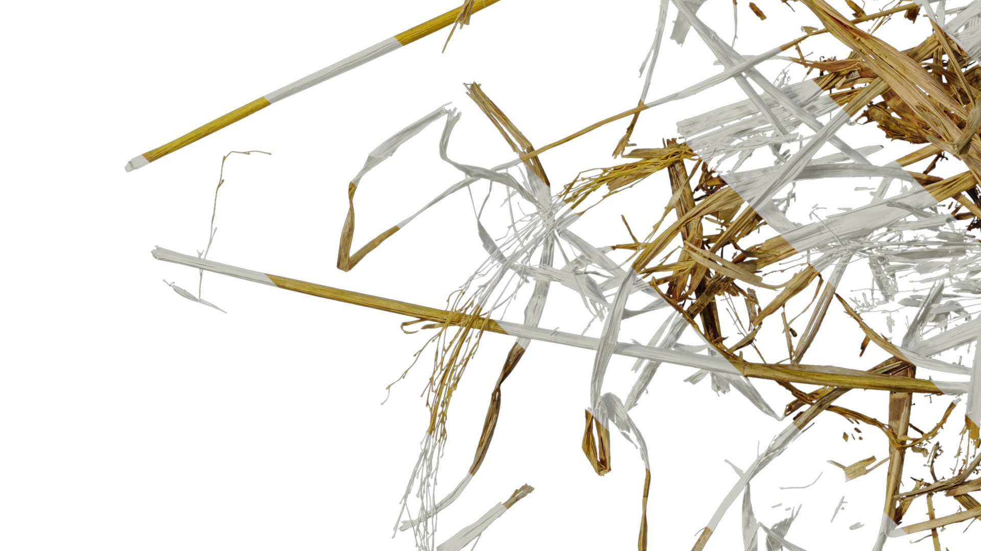 3D Anydrafts Oryza Sativa Atlas 05 Textures Model - TurboSquid 2349828