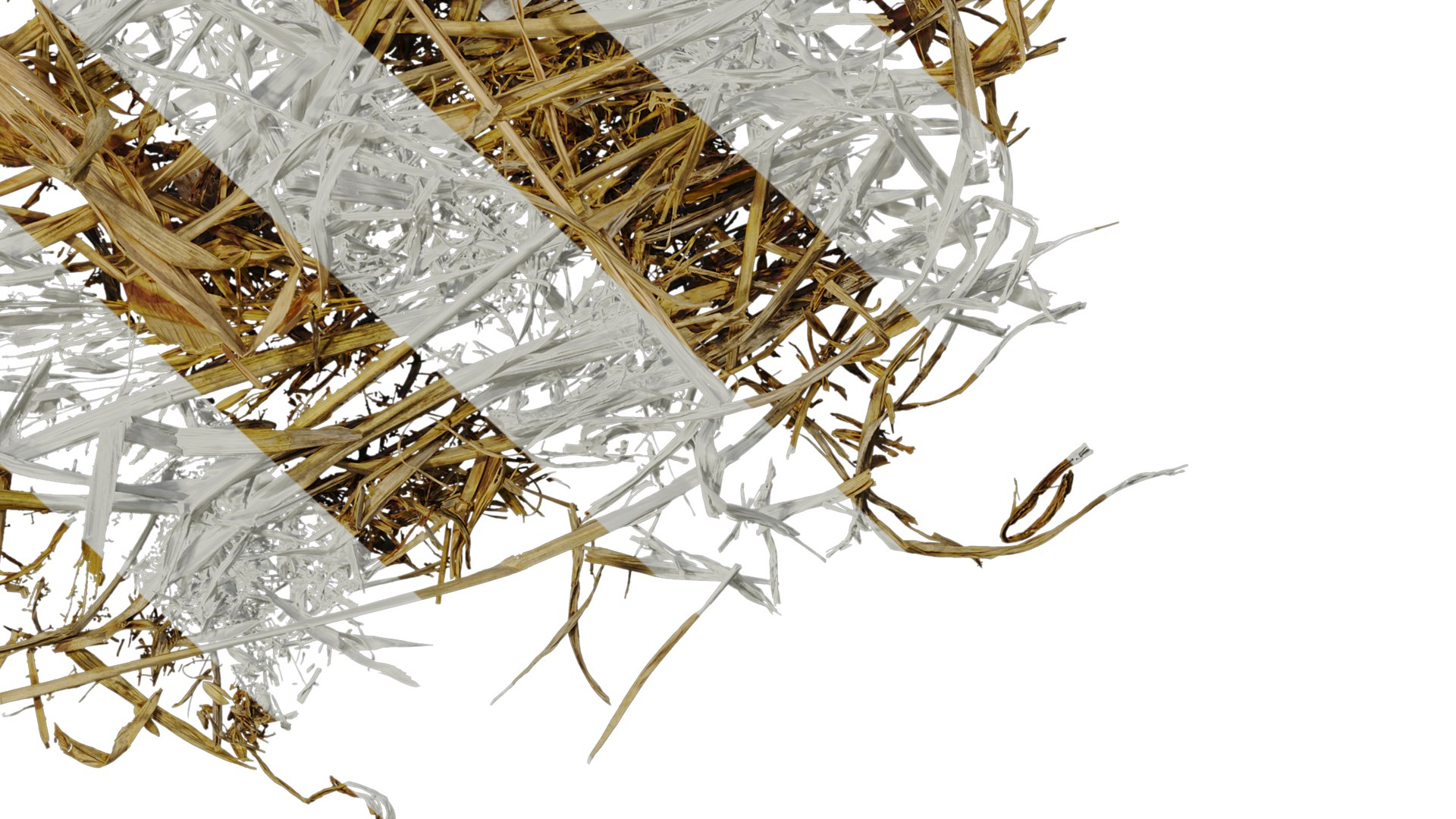 3D Anydrafts Oryza Sativa Atlas 05 Textures Model - TurboSquid 2349828