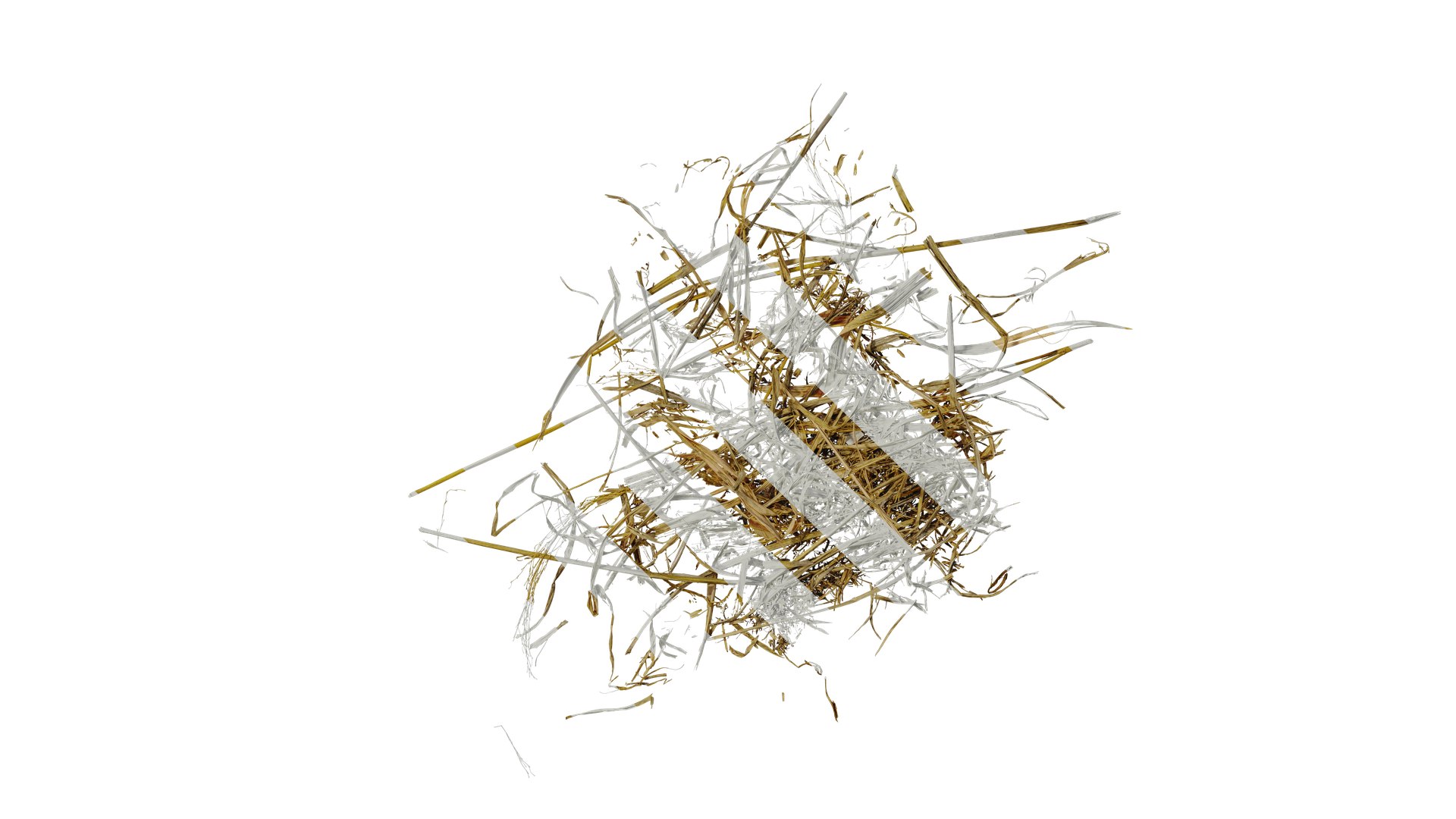 3D Anydrafts Oryza Sativa Atlas 05 Textures Model - TurboSquid 2349828