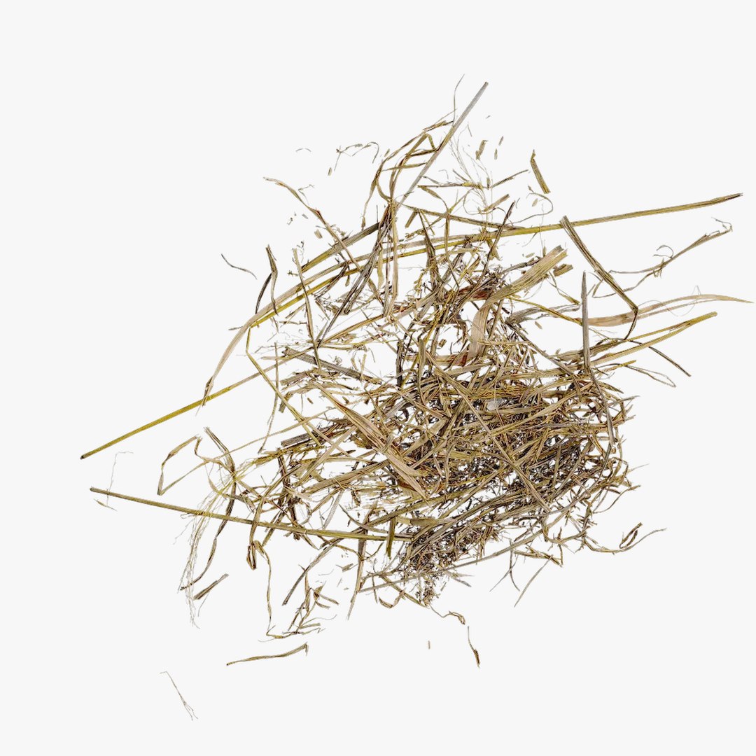 3D Anydrafts Oryza Sativa Atlas 05 Textures Model - TurboSquid 2349828