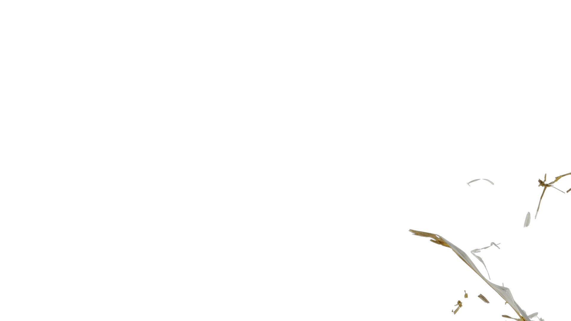 3D Anydrafts Oryza Sativa Atlas 05 Textures Model - TurboSquid 2349828