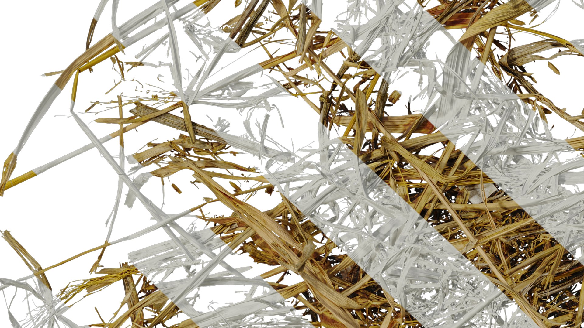 3D Anydrafts Oryza Sativa Atlas 05 Textures Model - TurboSquid 2349828