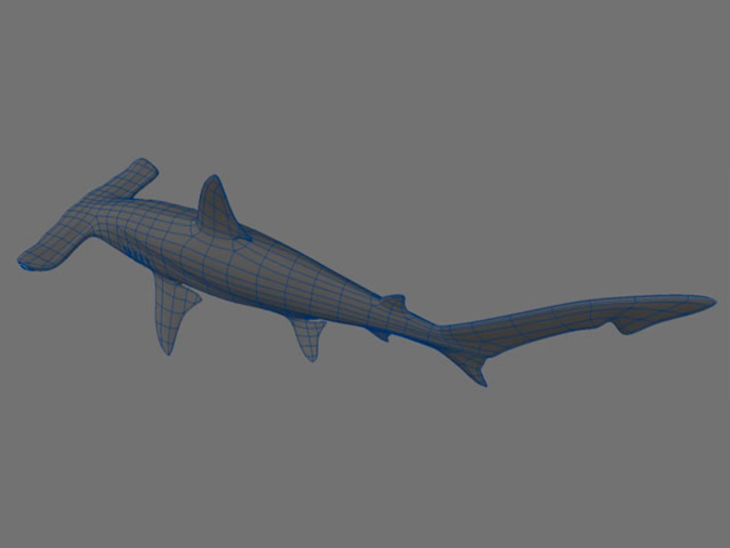 Hammerhead Shark 3d Obj