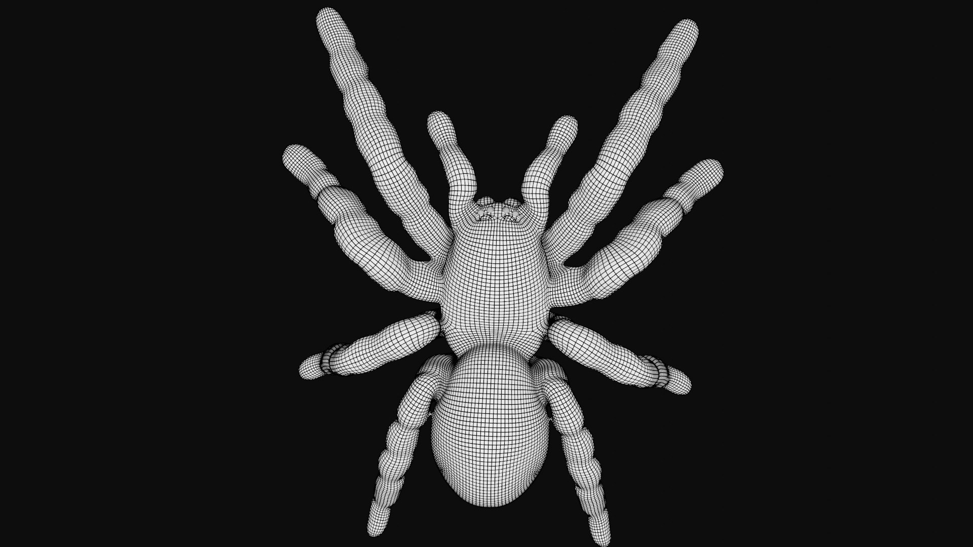 3D Fully Rigged Low Poly Tarantula - TurboSquid 1761621