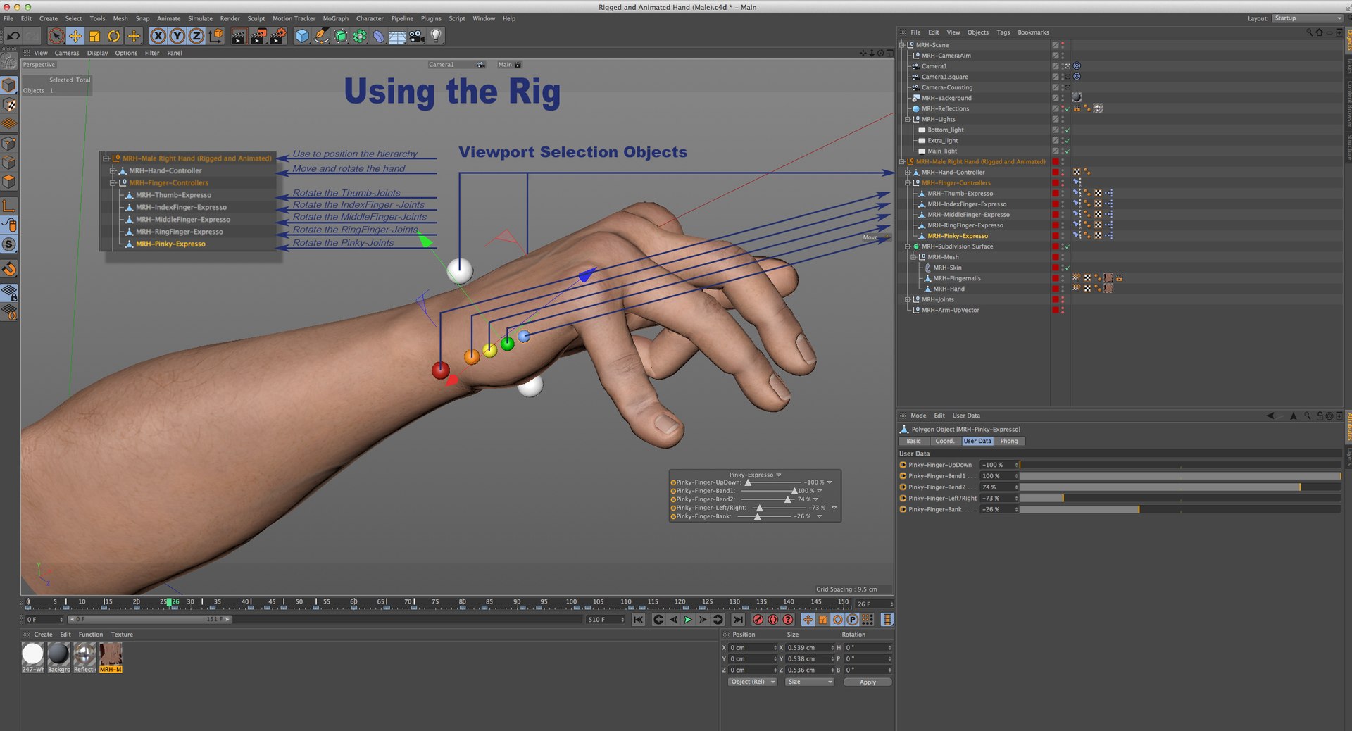 Rig Hand Male 3d C4d