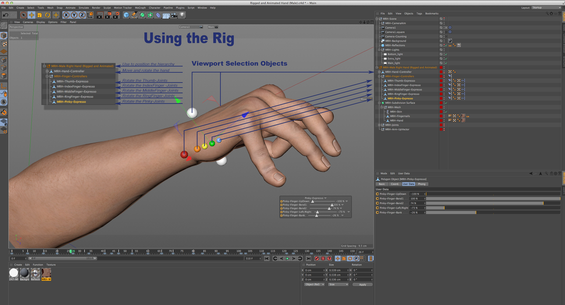 rig hand male 3d c4d