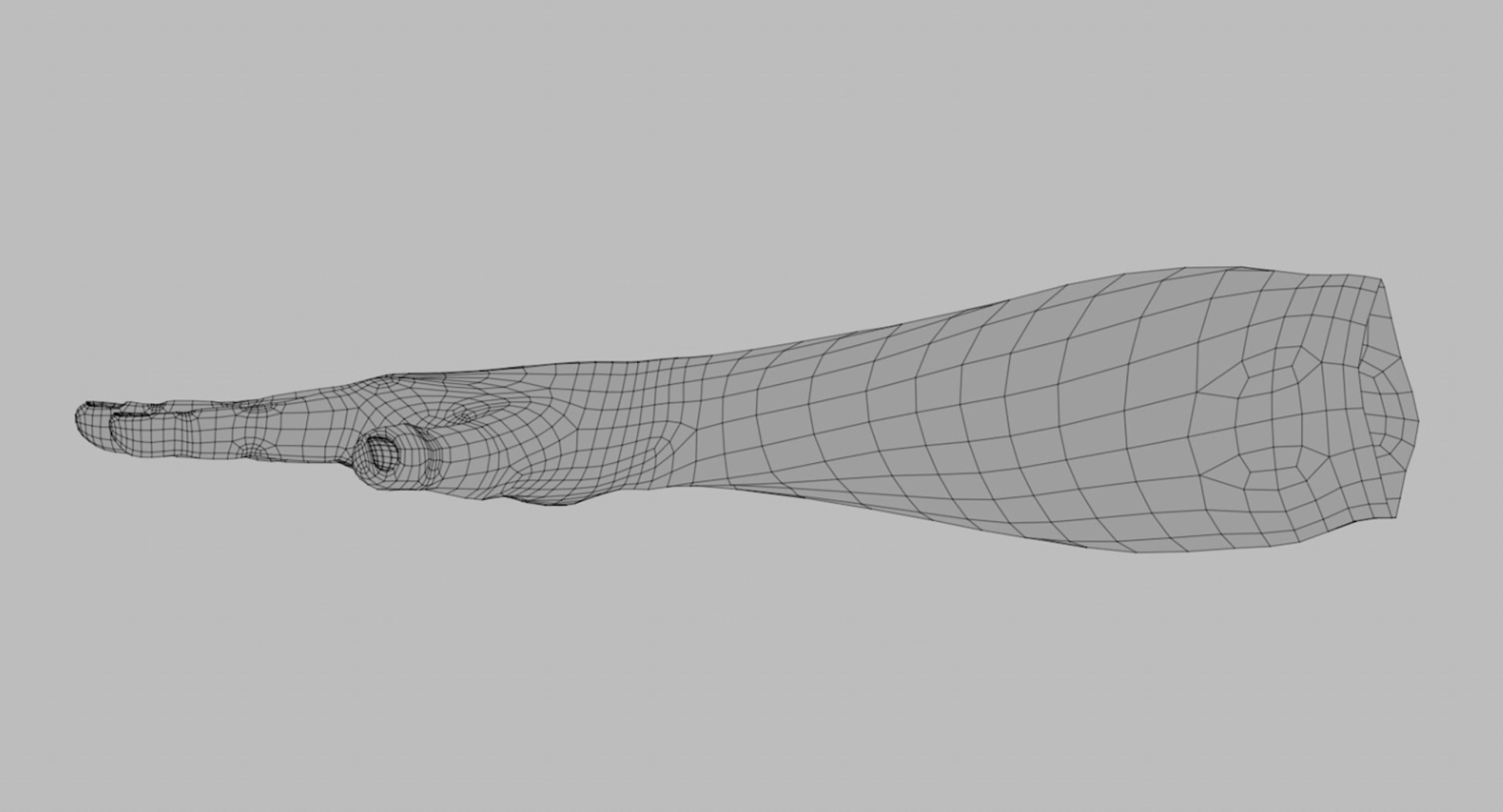 Rig Hand Male 3d C4d