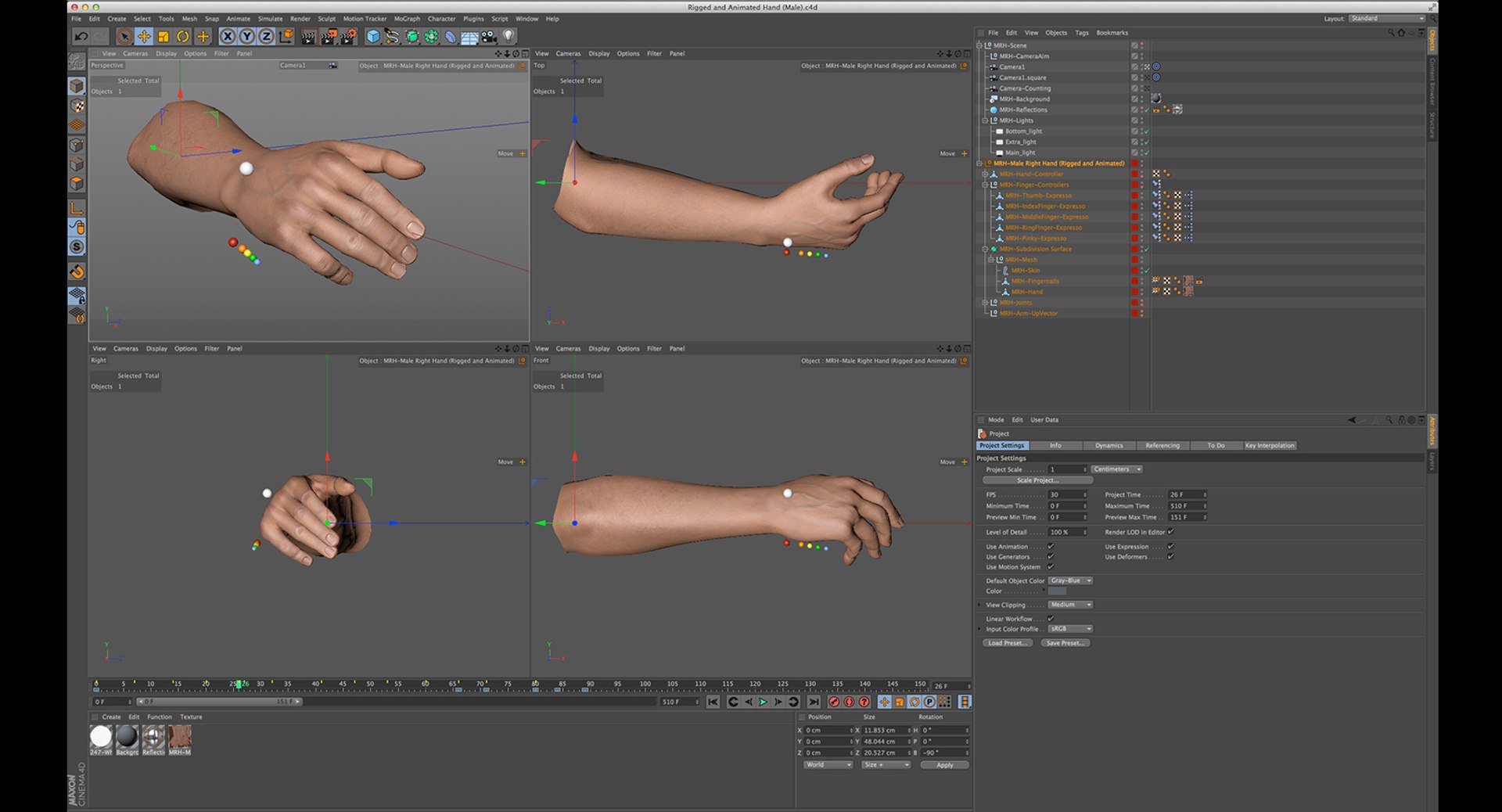 Rig Hand Male 3d C4d