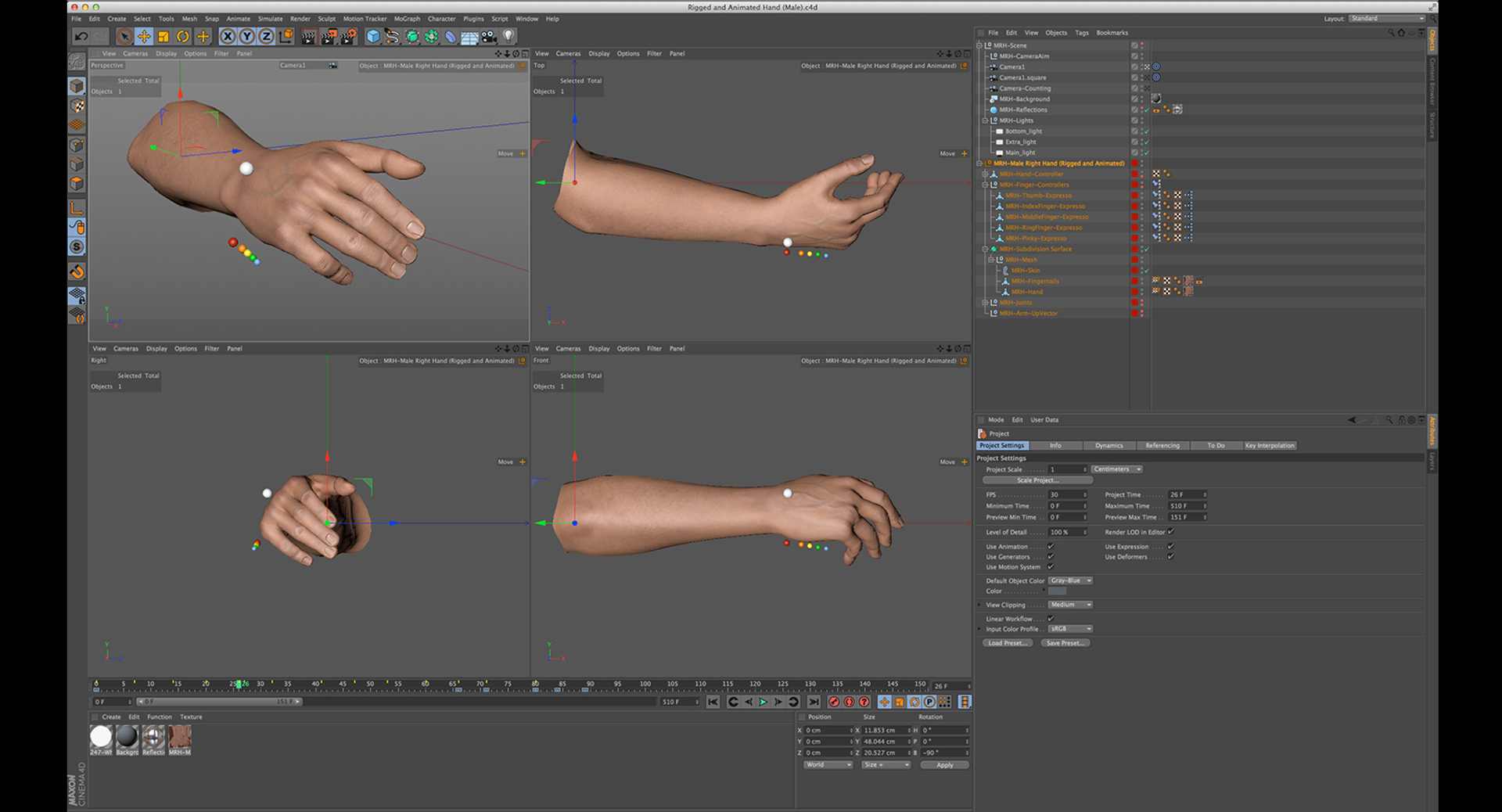 rig hand male 3d c4d