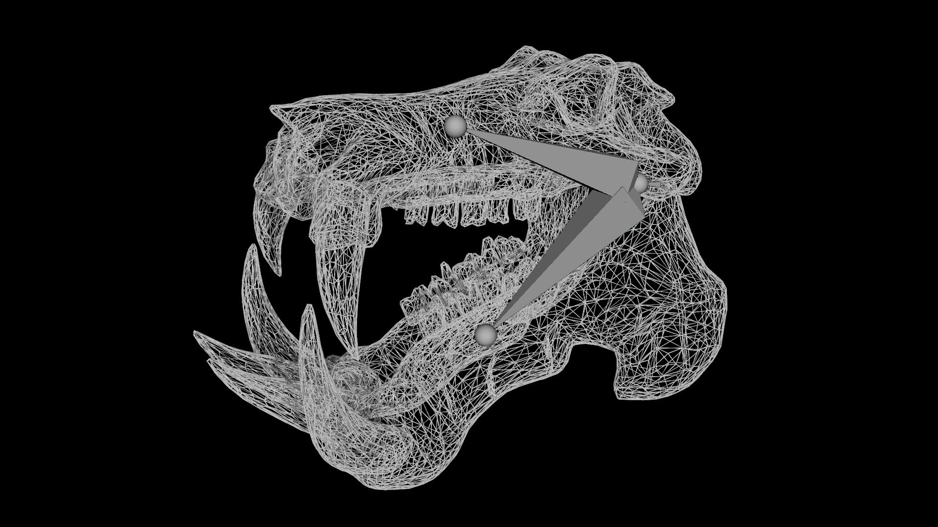 3D Rigged Hippo Skull Model - TurboSquid 1853937
