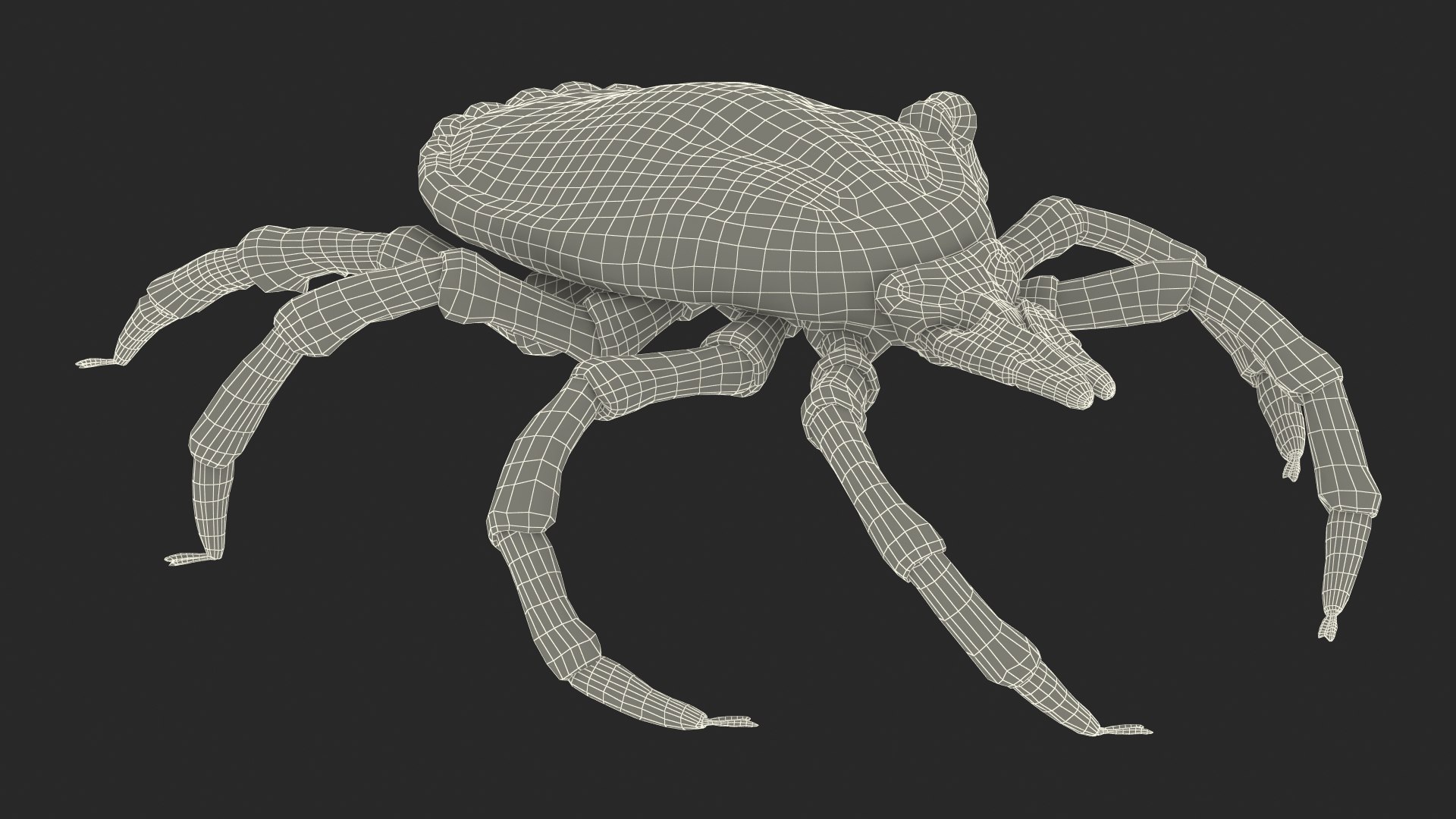 3D Parasites Collection 2 Model - TurboSquid 2514480