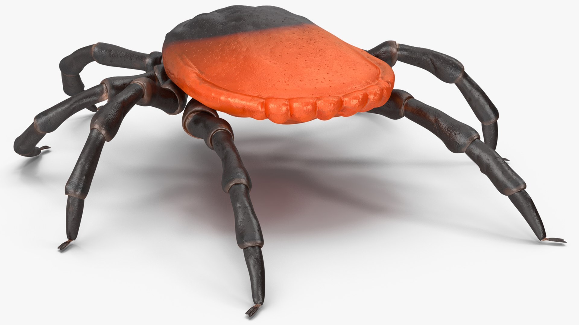 3D Parasites Collection 2 Model - TurboSquid 2514480