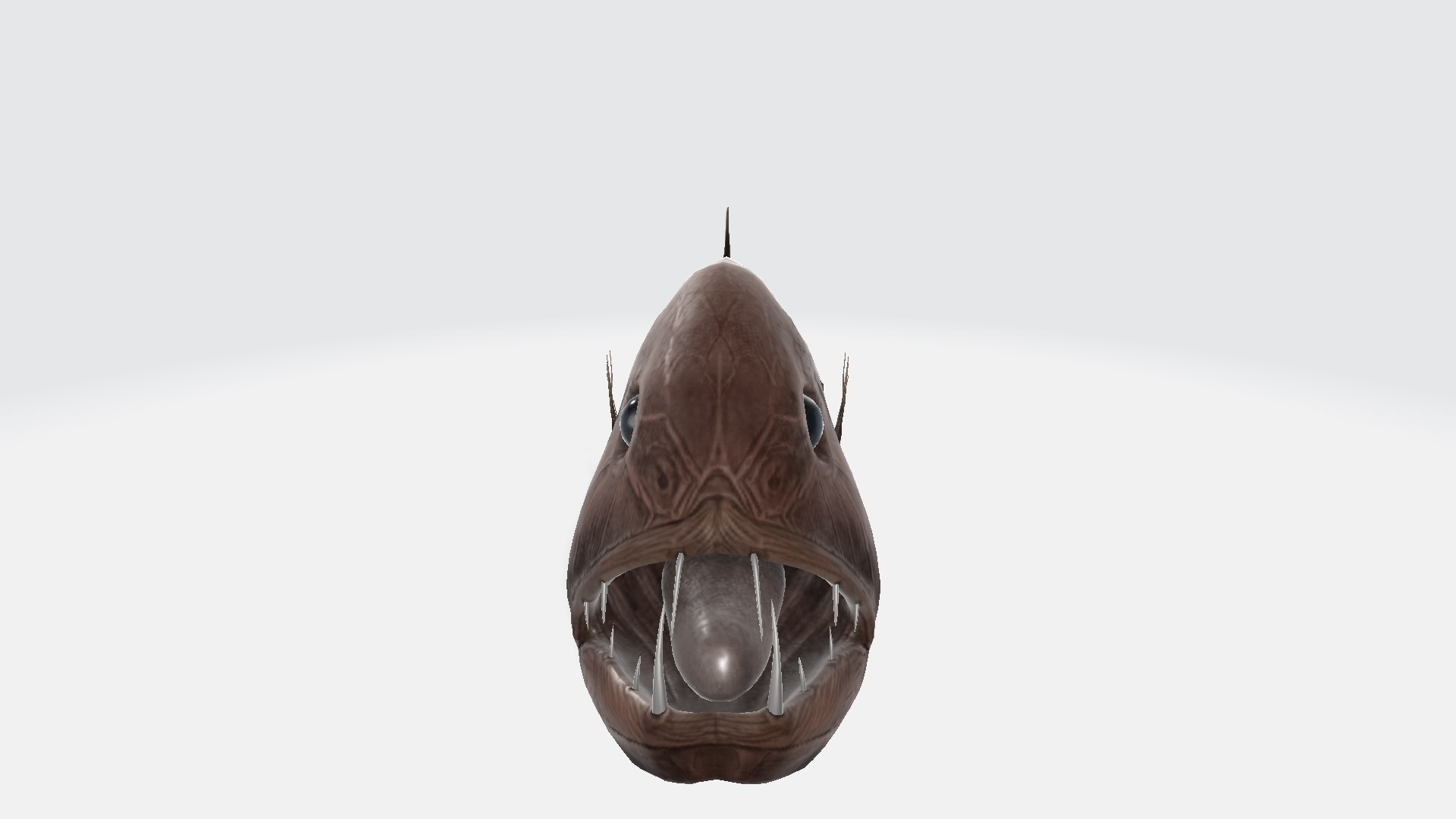 3D Common Fangtooth - Scary Fish - TurboSquid 2291525