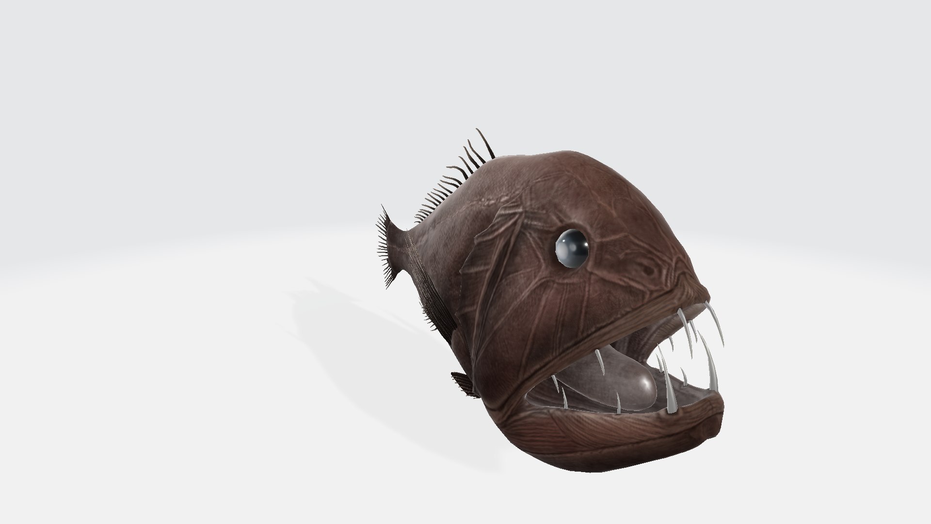 3D Common Fangtooth - Scary Fish - TurboSquid 2291525