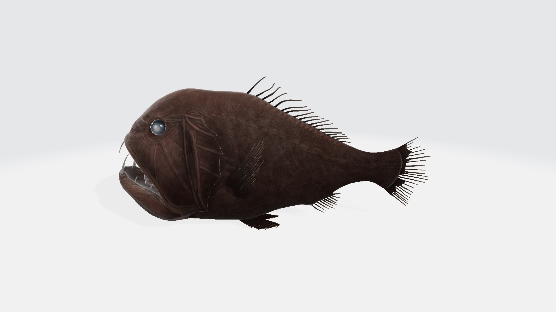 3D Common Fangtooth - Scary Fish - TurboSquid 2291525