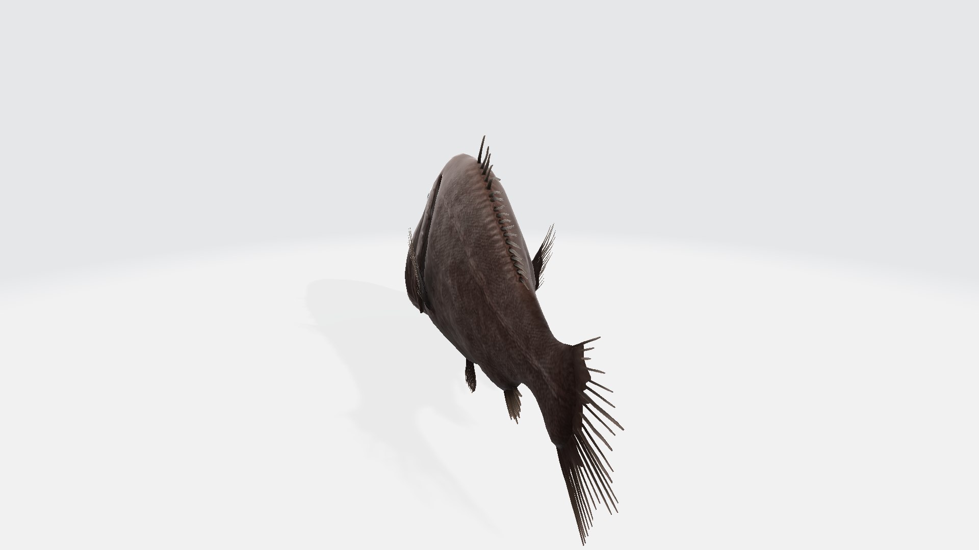 3D Common Fangtooth - Scary Fish - TurboSquid 2291525