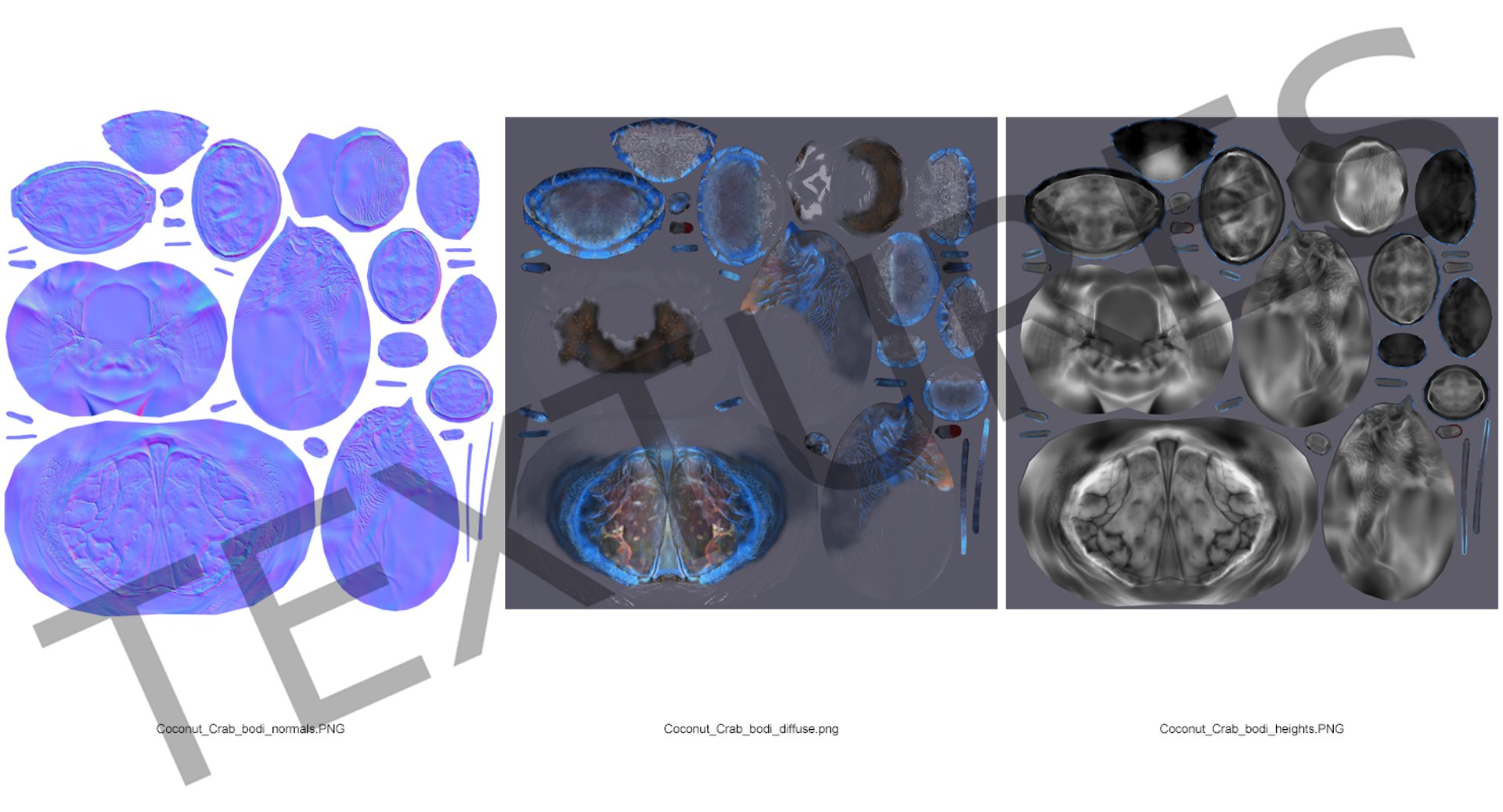 Palm Thief 3D Model - TurboSquid 1156729